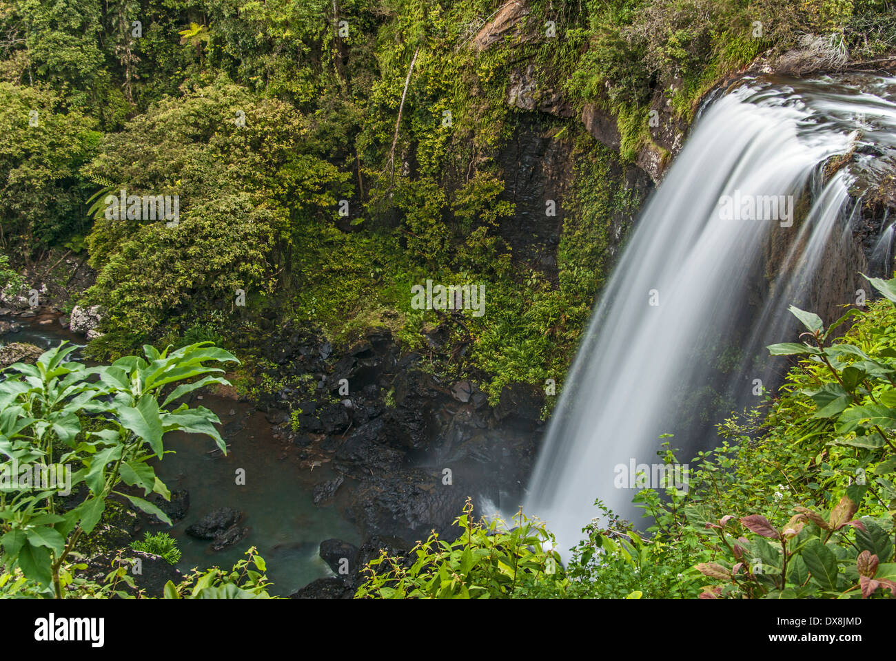 Zillie falls hi-res stock photography and images - Alamy