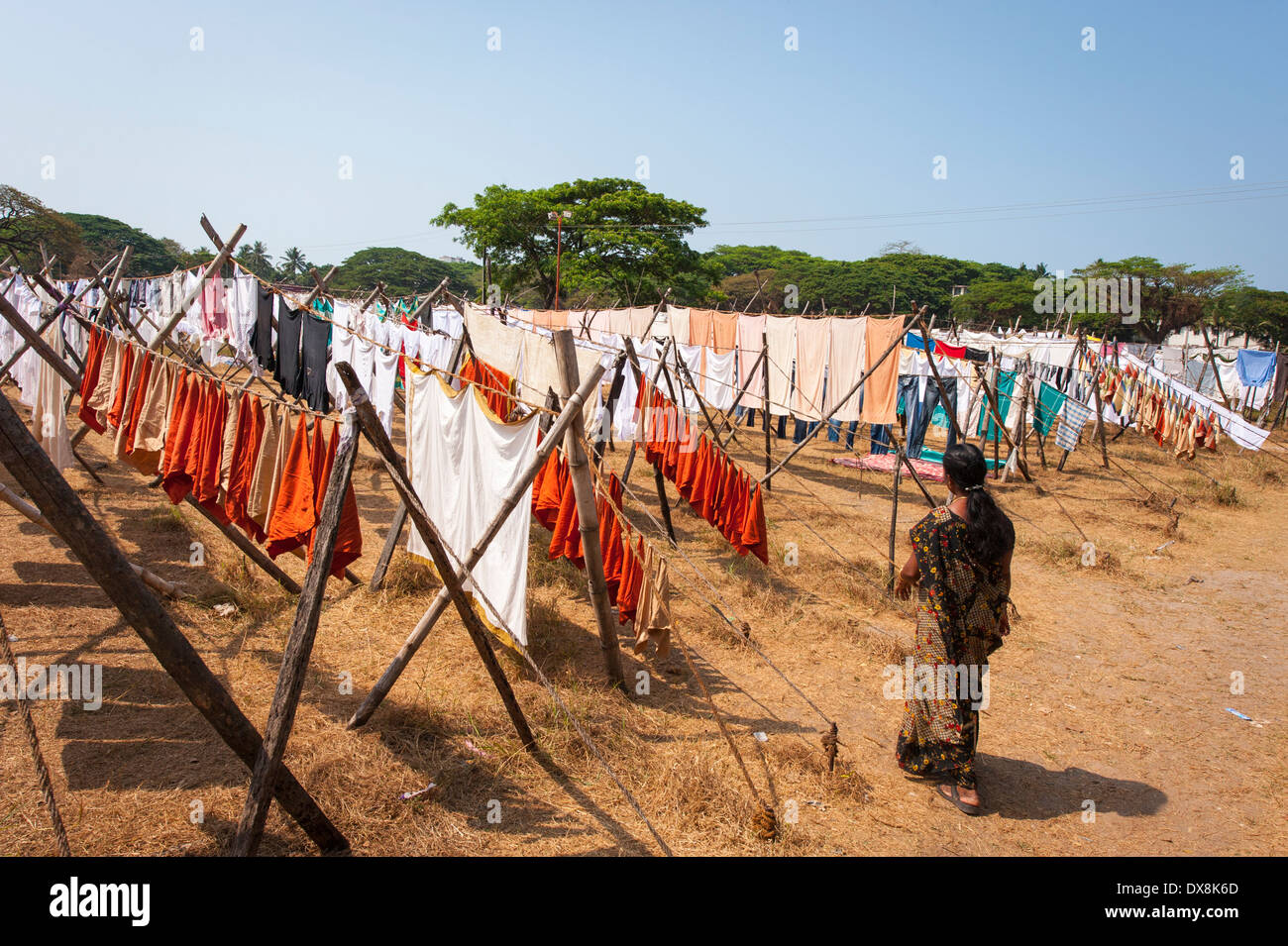 South Southern India Kerala Cochin Fort Kochi Veli Dhobi Dhobis Khana ...