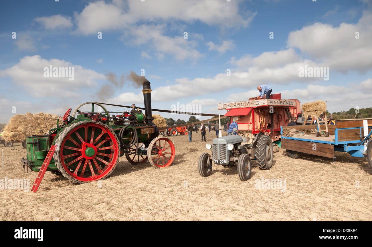 Steam engine and trailers hi-res stock photography and images - Alamy