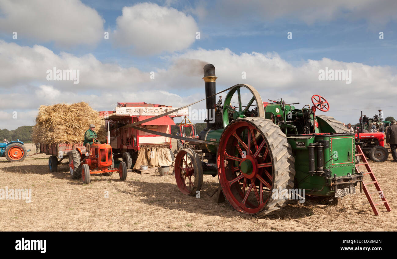 A vintage threshing day showing a steam engine working a threshing drum ...