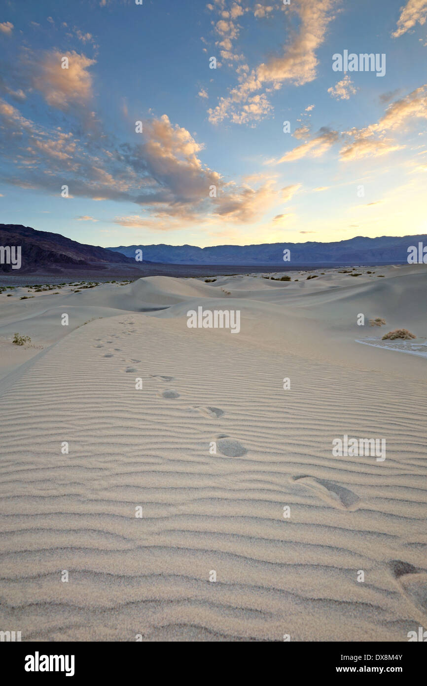 Sand dunes in the desert south west of the United States in Death ...