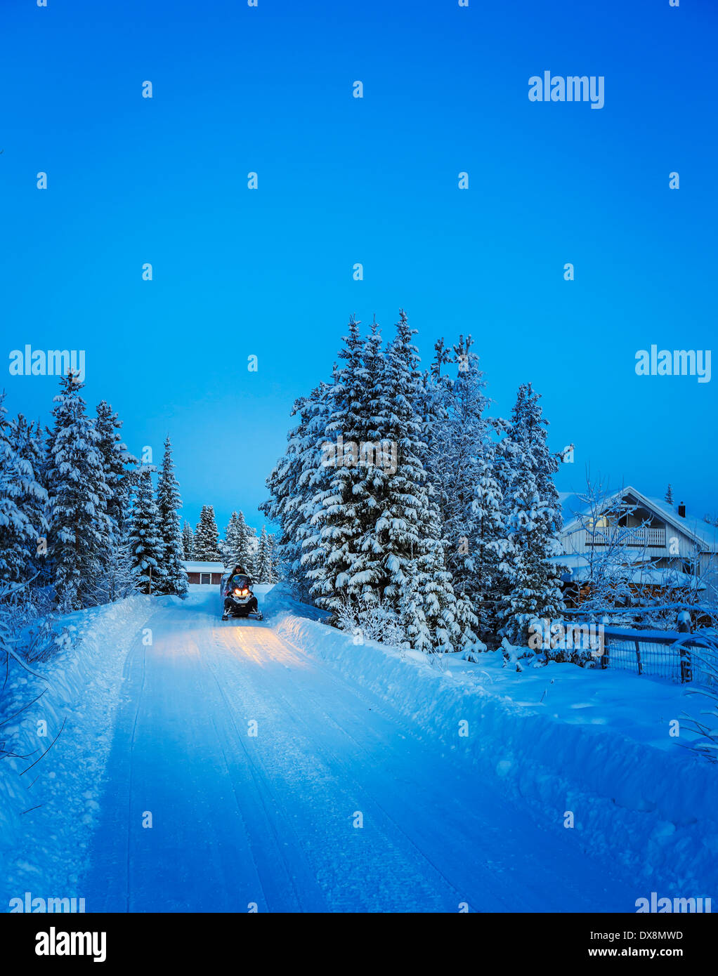Snow covered trees in extreme cold temperatures, Lapland, Sweden Stock ...