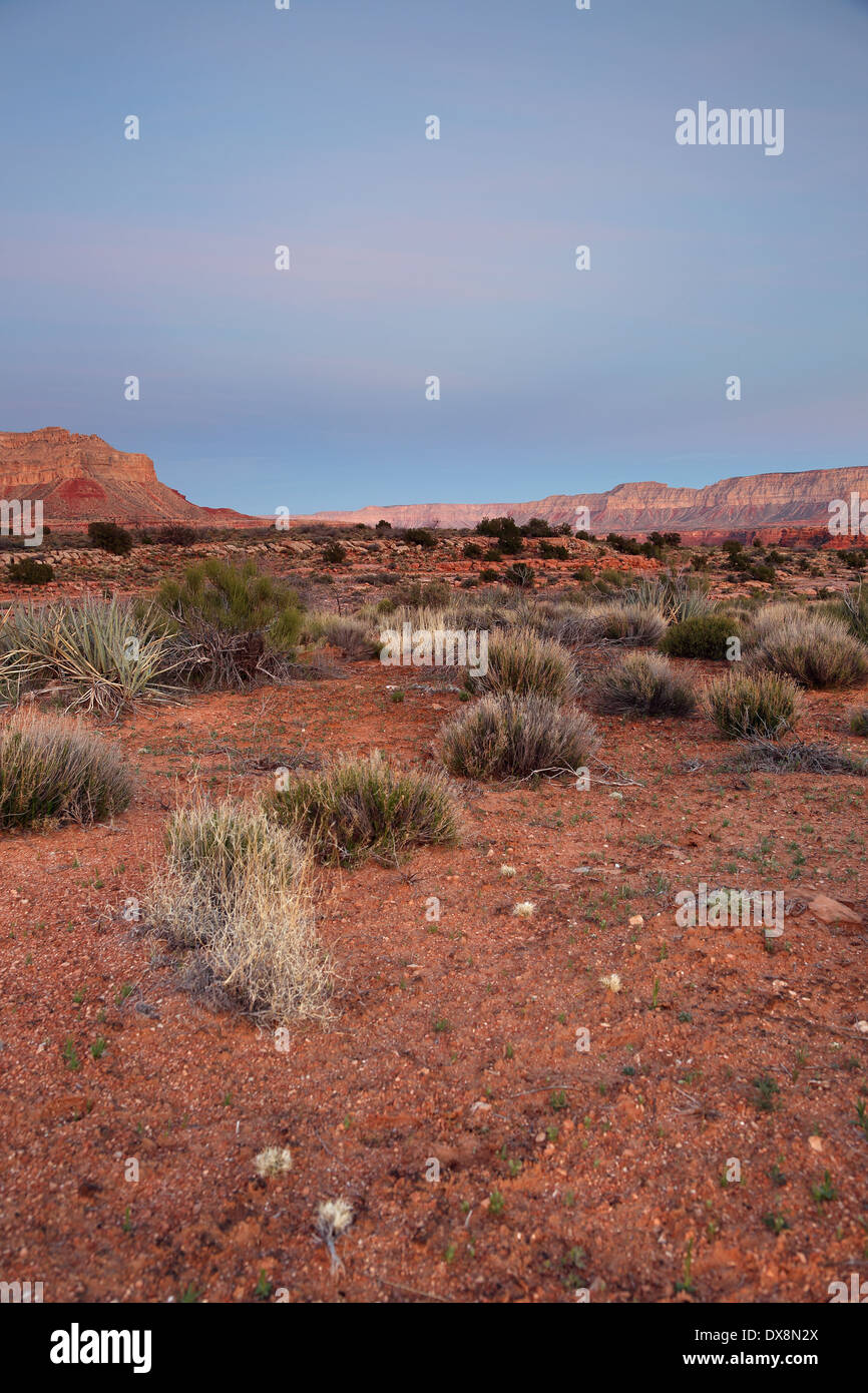 Southwestern us hi-res stock photography and images - Alamy