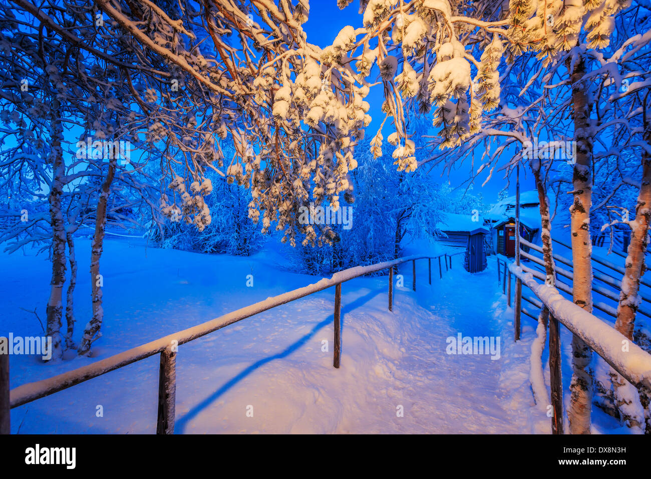 Snow covered trees in extreme cold temperatures, Lapland, Sweden Stock ...