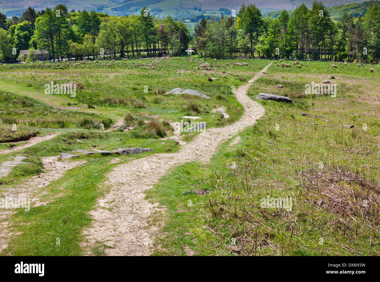 Hillside path leading to woodland Stock Photo - Alamy