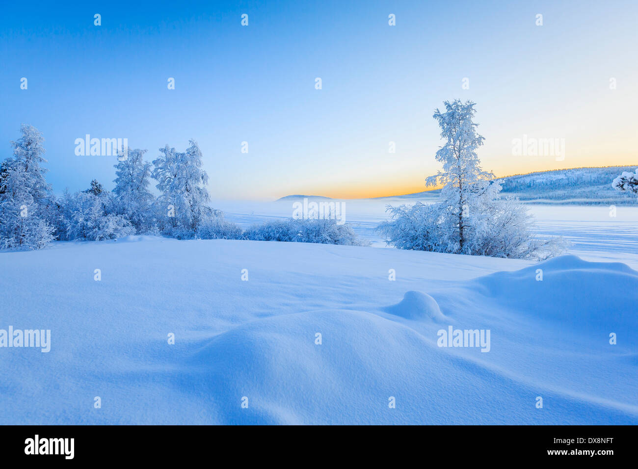 Snow covered trees in extreme cold temperatures, Lapland, Sweden Stock ...