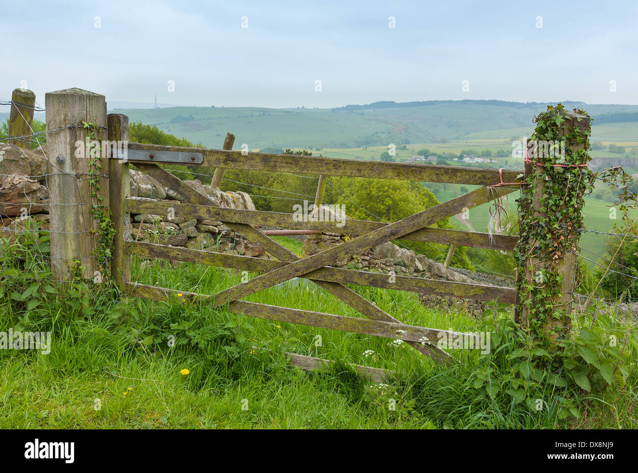 Wooden gate ivy hi-res stock photography and images - Alamy