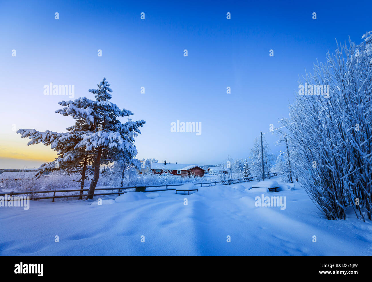 Snow covered trees in extreme cold temperatures, Lapland, Sweden Stock ...