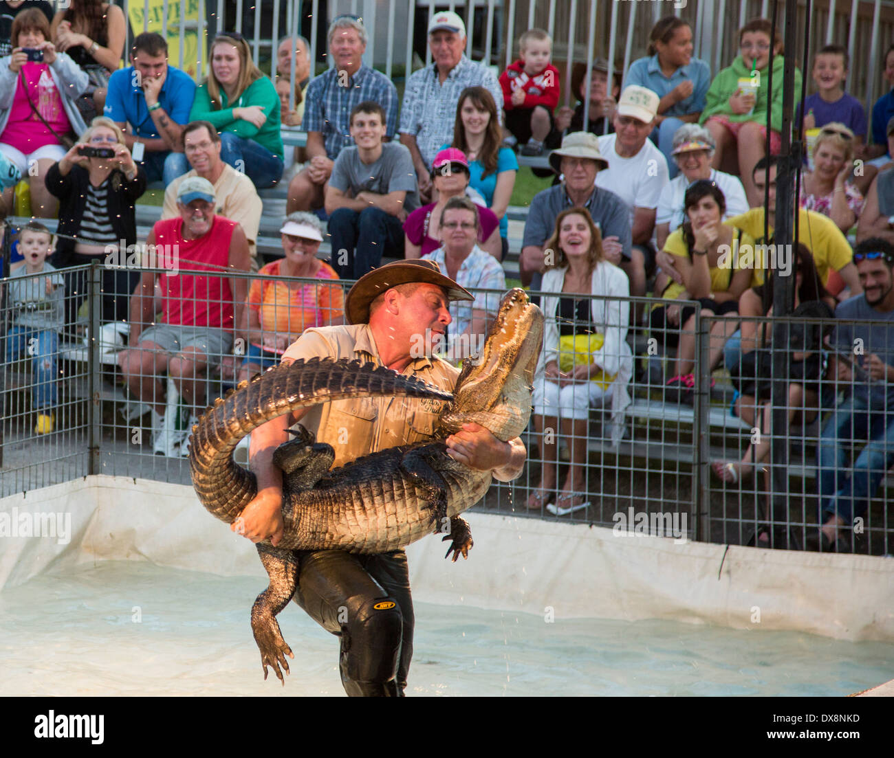 Tampa, Florida - The Kachunga Alligator Show at the Florida State Fair ...