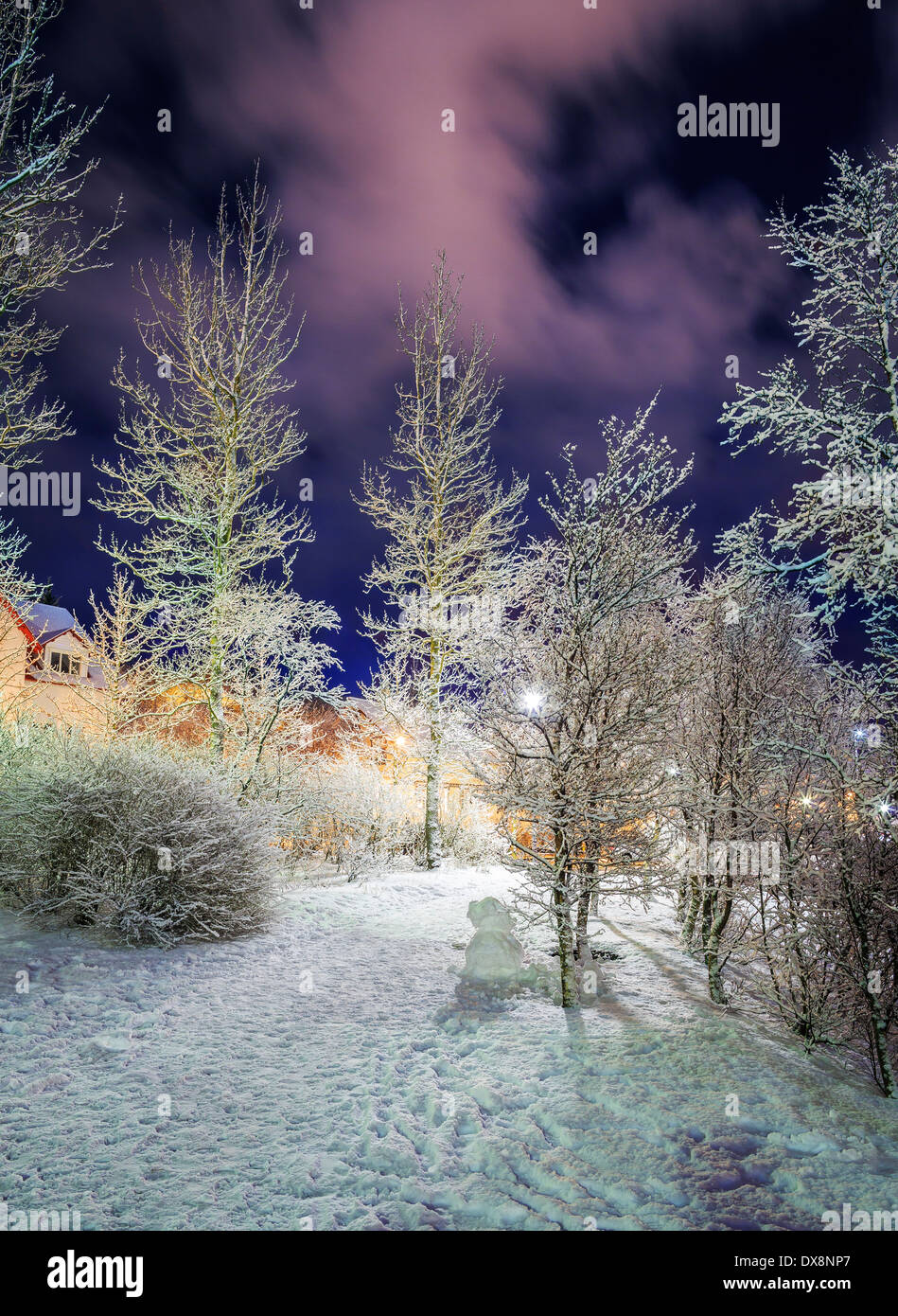 Snow covered trees in Reykjavik, Iceland Stock Photo - Alamy