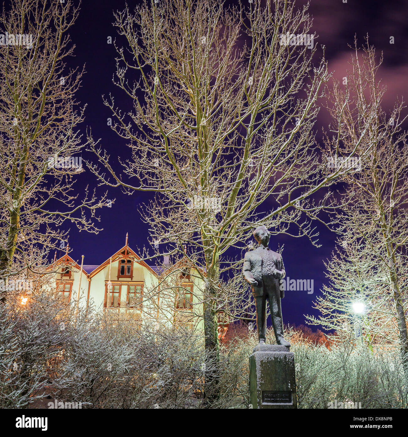 Trees ice decorations hi-res stock photography and images - Alamy