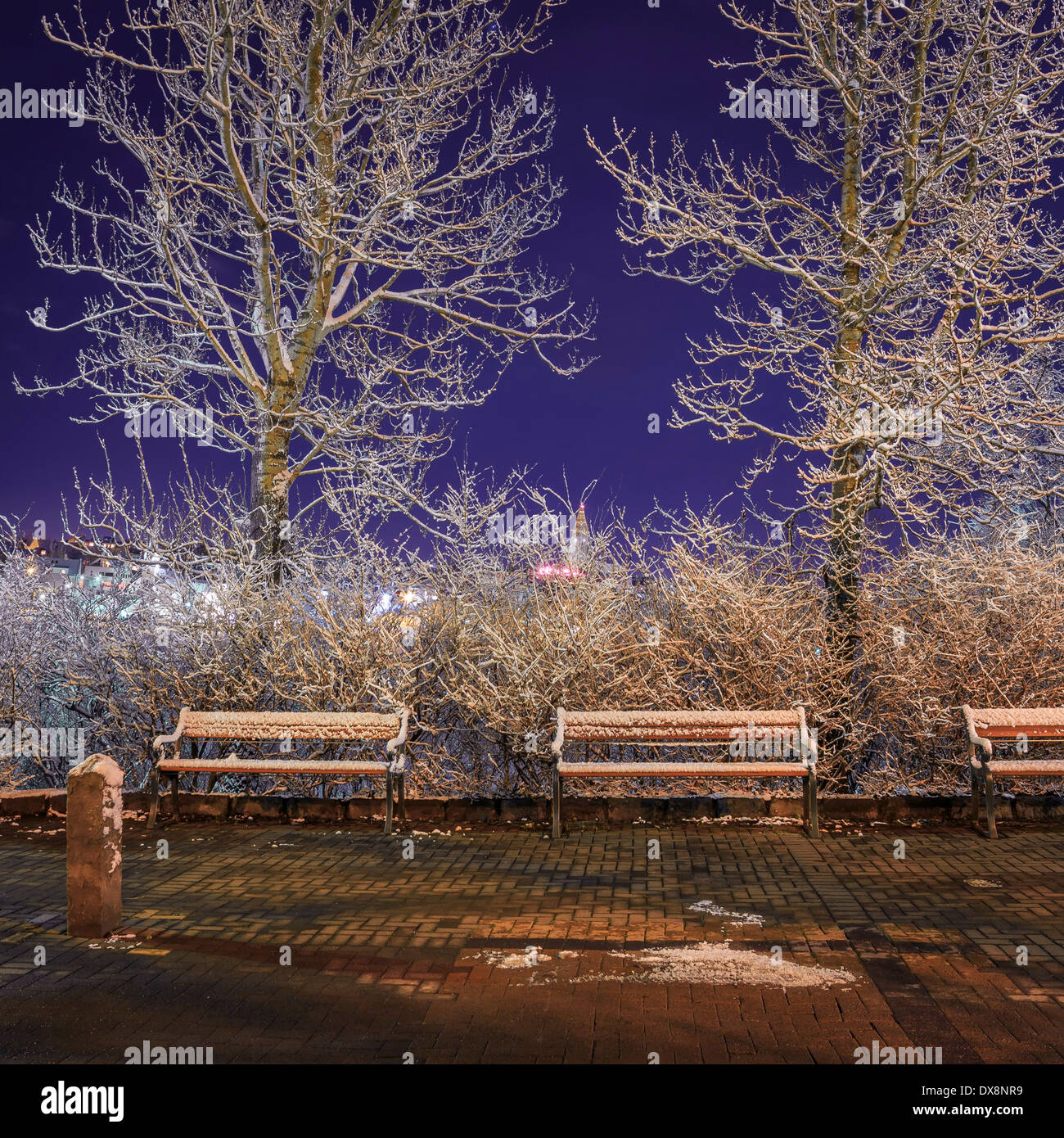 Trees and park benches hi-res stock photography and images - Alamy