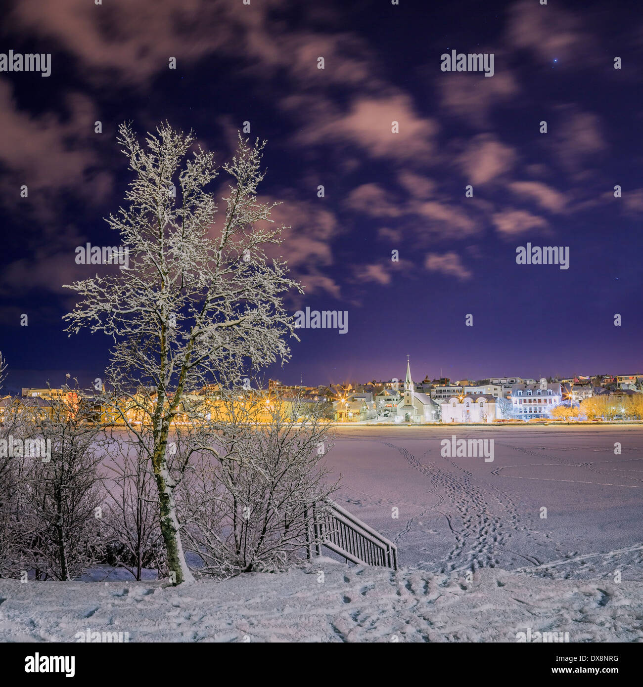 Snow covered trees and frozen pond, Reykjavik, Iceland Stock Photo - Alamy