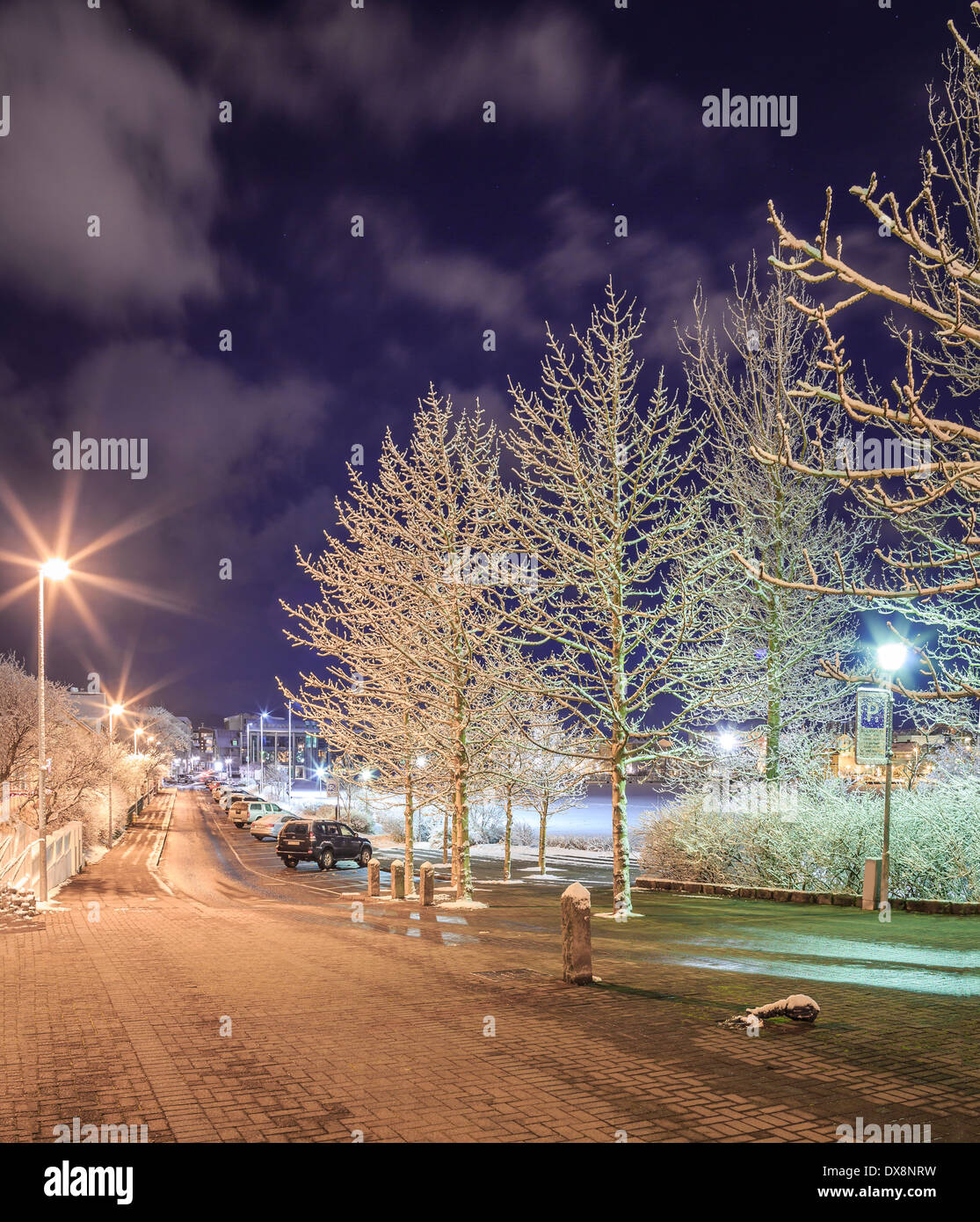 Snow covered trees in Reykjavik, Iceland Stock Photo - Alamy
