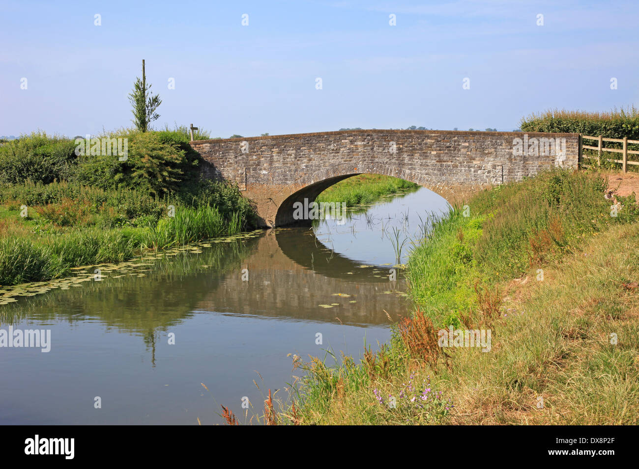 Old stone bridge and river in Somerset England Stock Photo - Alamy