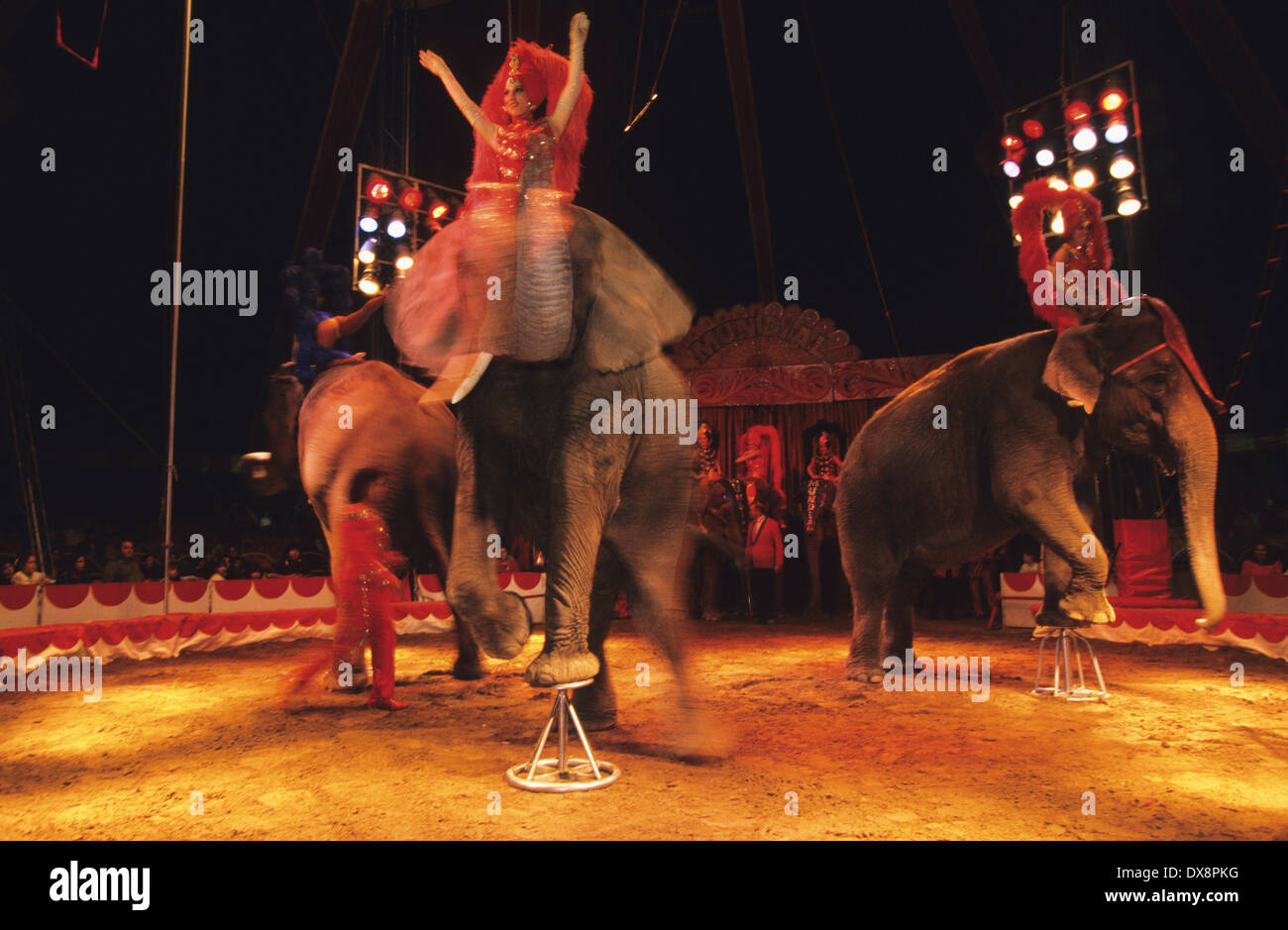 African circus hi-res stock photography and images - Alamy