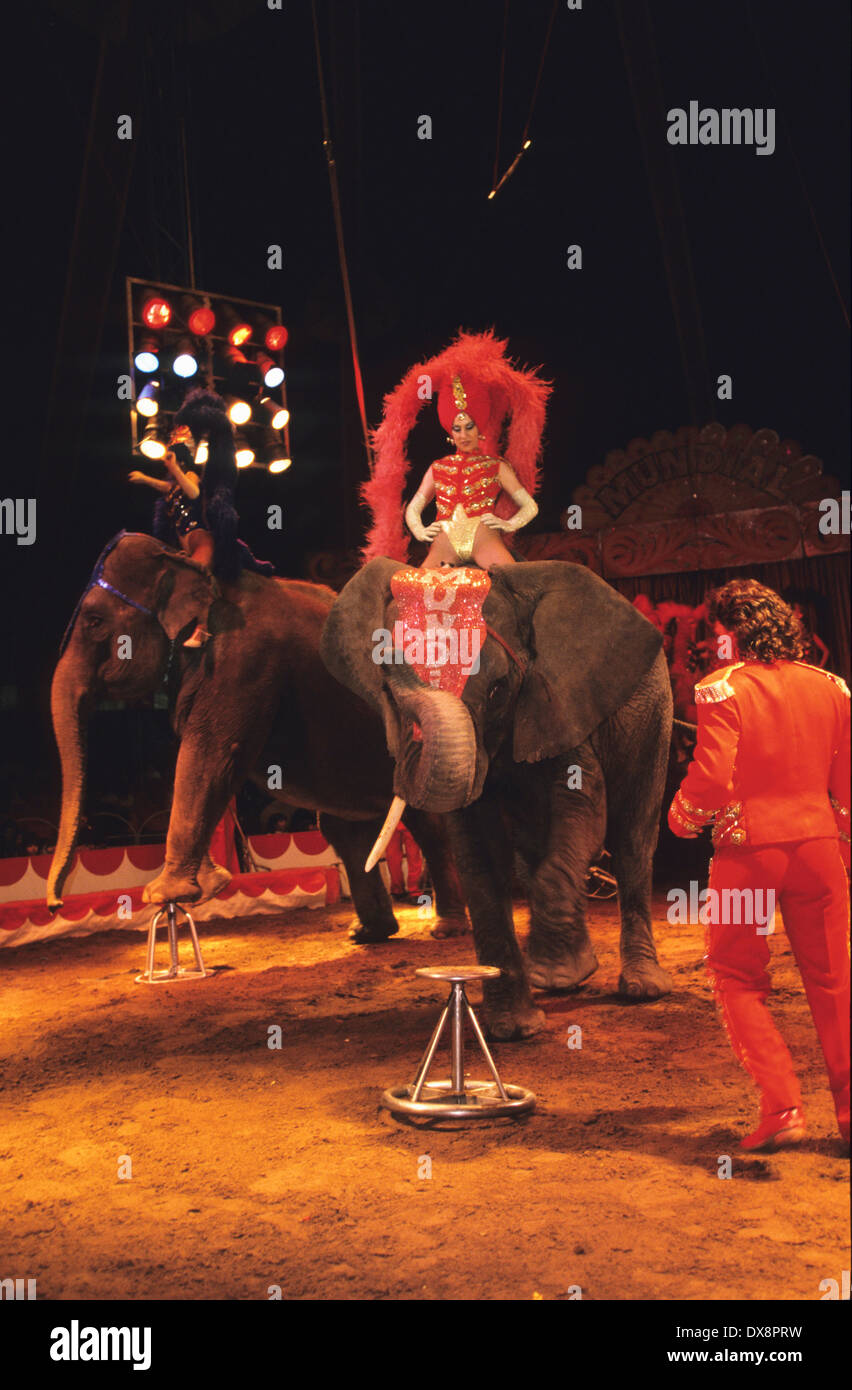 Indian circus elephants hi-res stock photography and images - Alamy
