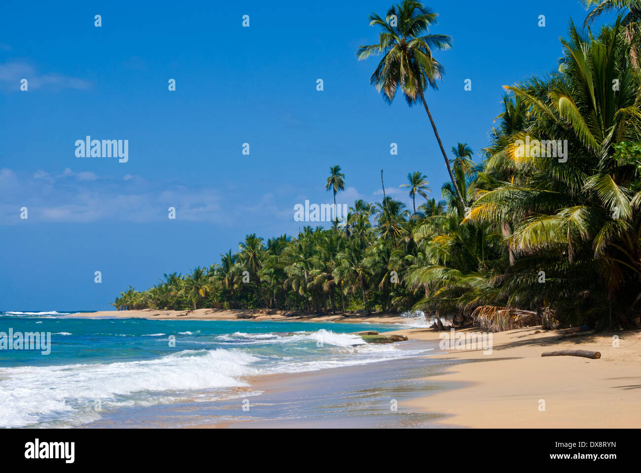 Punta Uva beach between Puerto Viejo and Manzanillo. Limon province ...