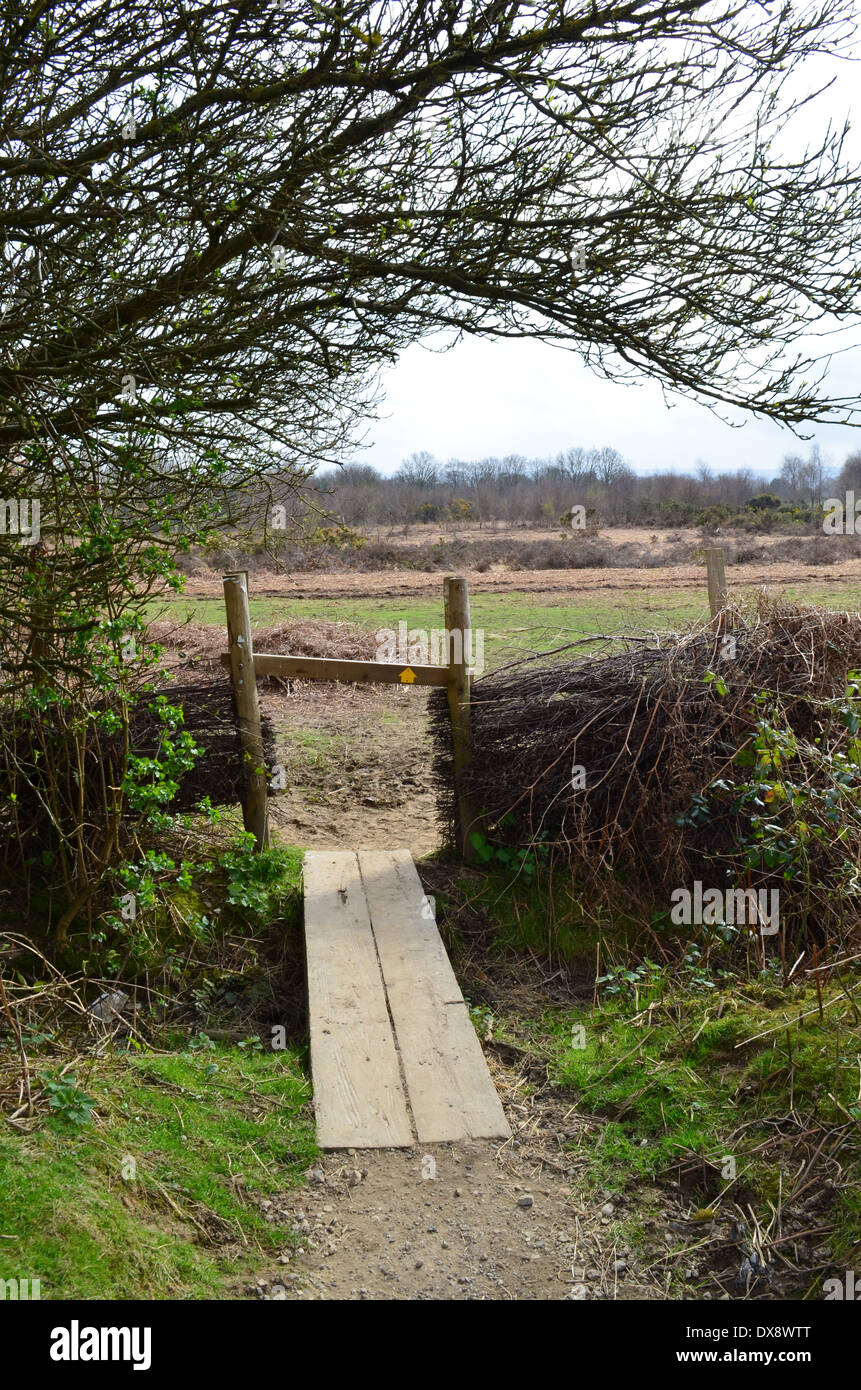 Countryside wood crossing over stream and lift up gate Stock Photo - Alamy