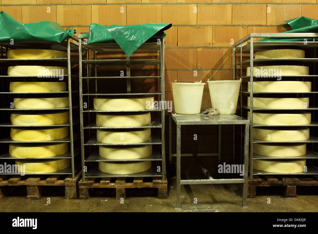 Wheels of freshly delivered mountain cheese at La Maison de L'Etivaz in ...
