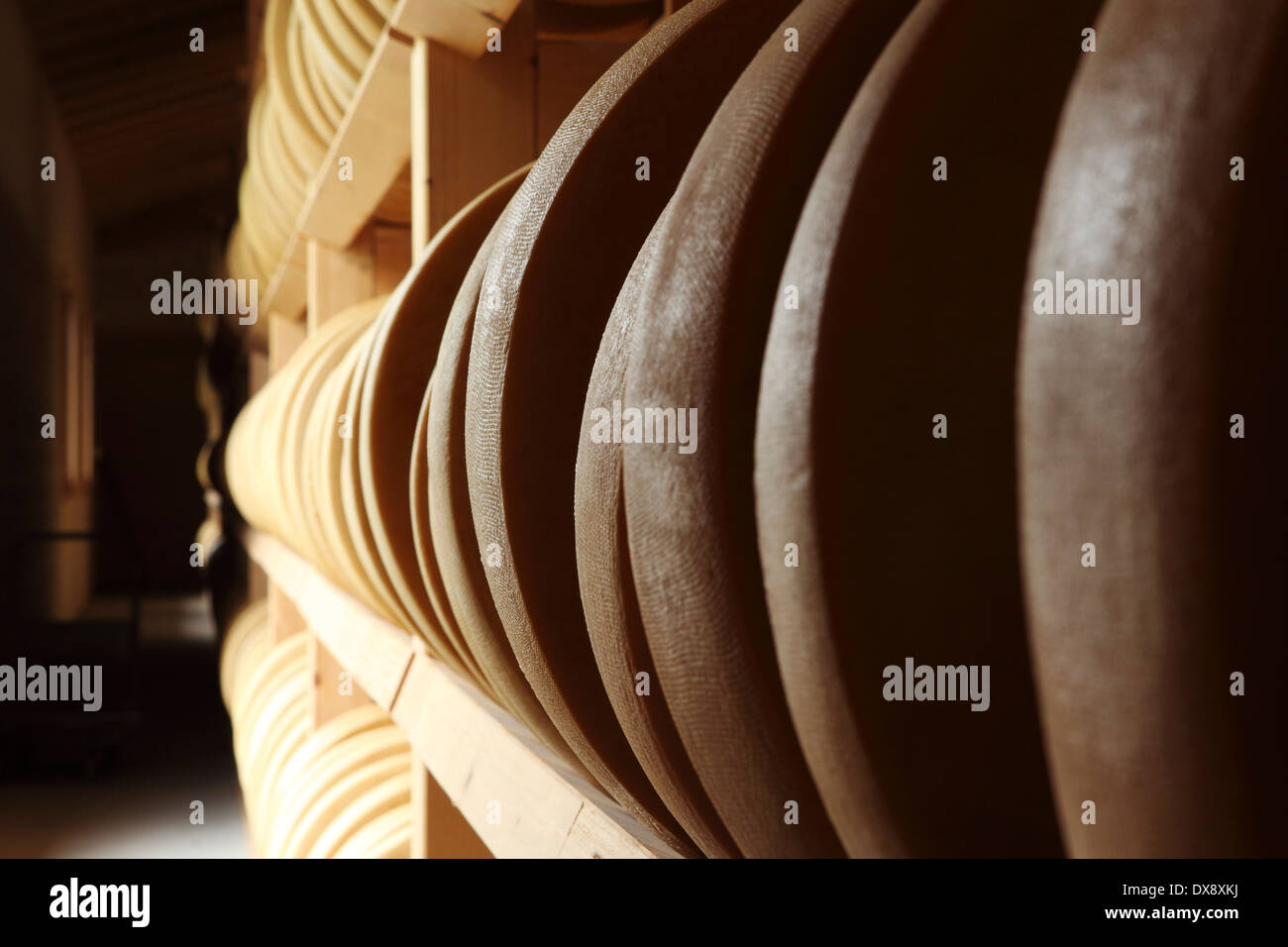 Wheels of mountain cheese ripening at La Maison de L'Etivaz in Etivaz ...