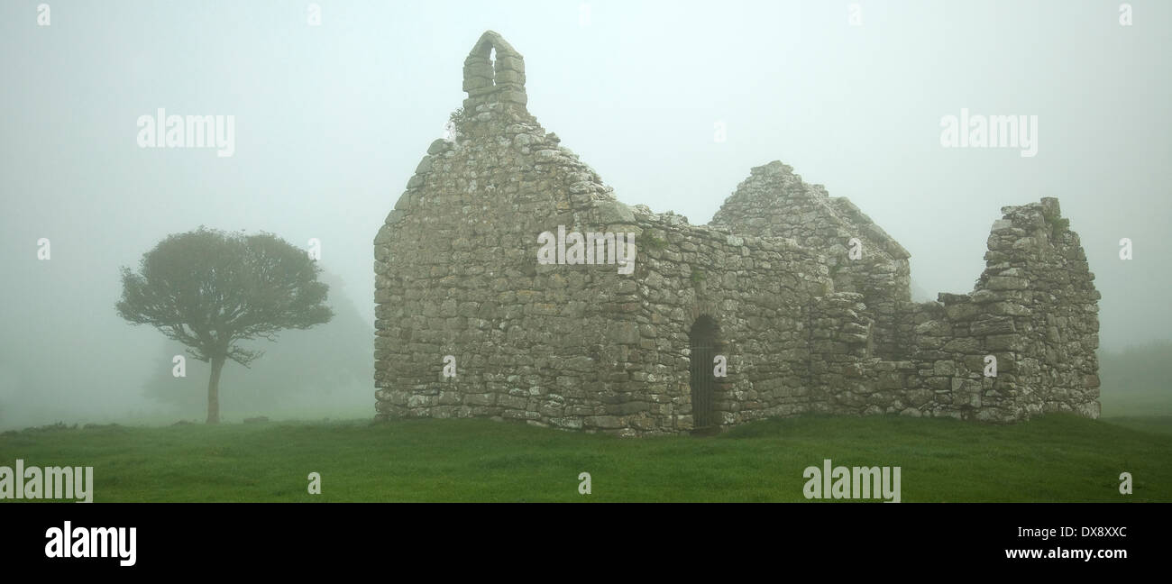 A ruined 12th century medieval church of Hen Gapel Lligwy, close to the ...