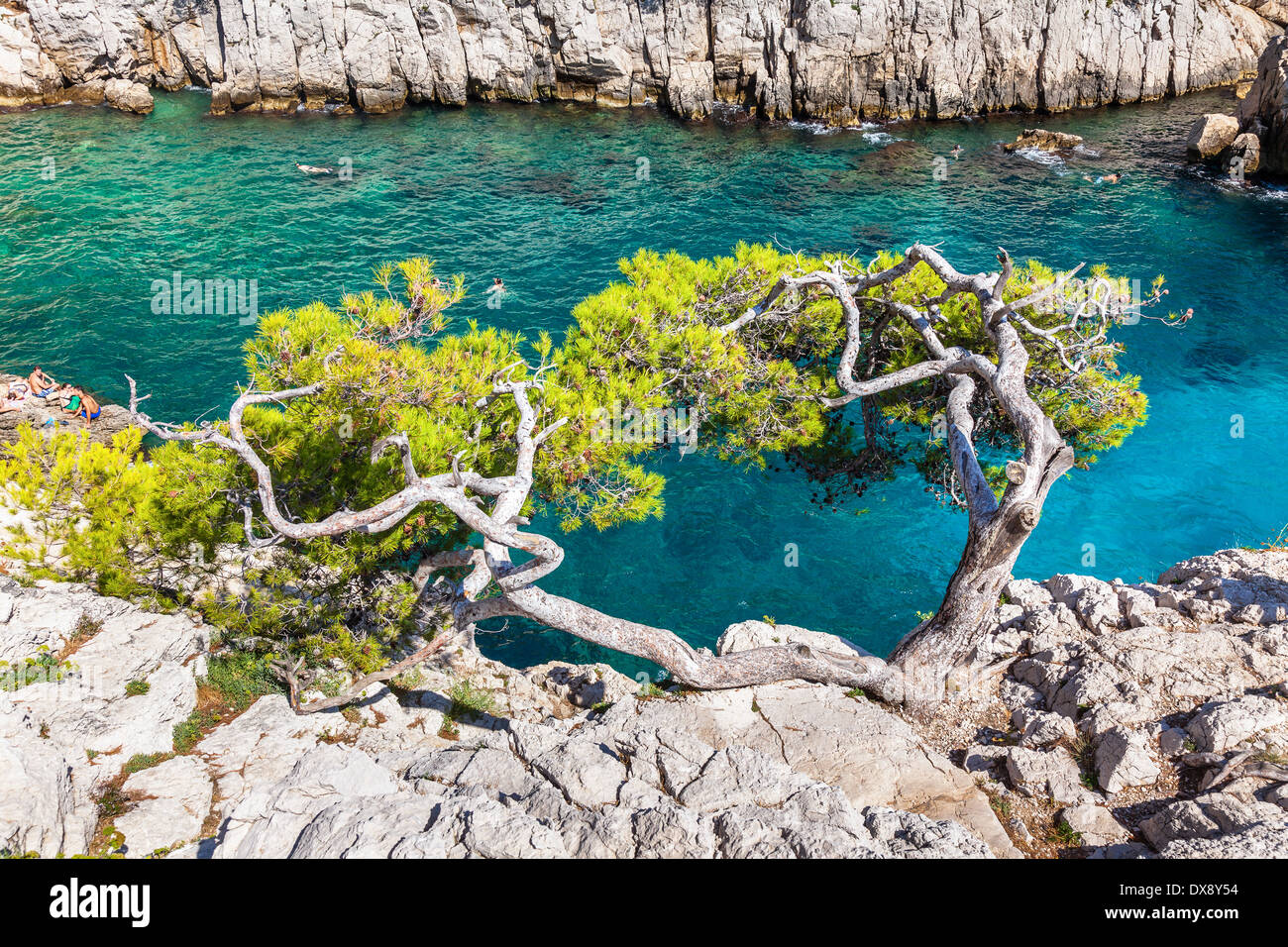 Calanques near Marseille and Cassis in south of France.jpg Stock Photo ...