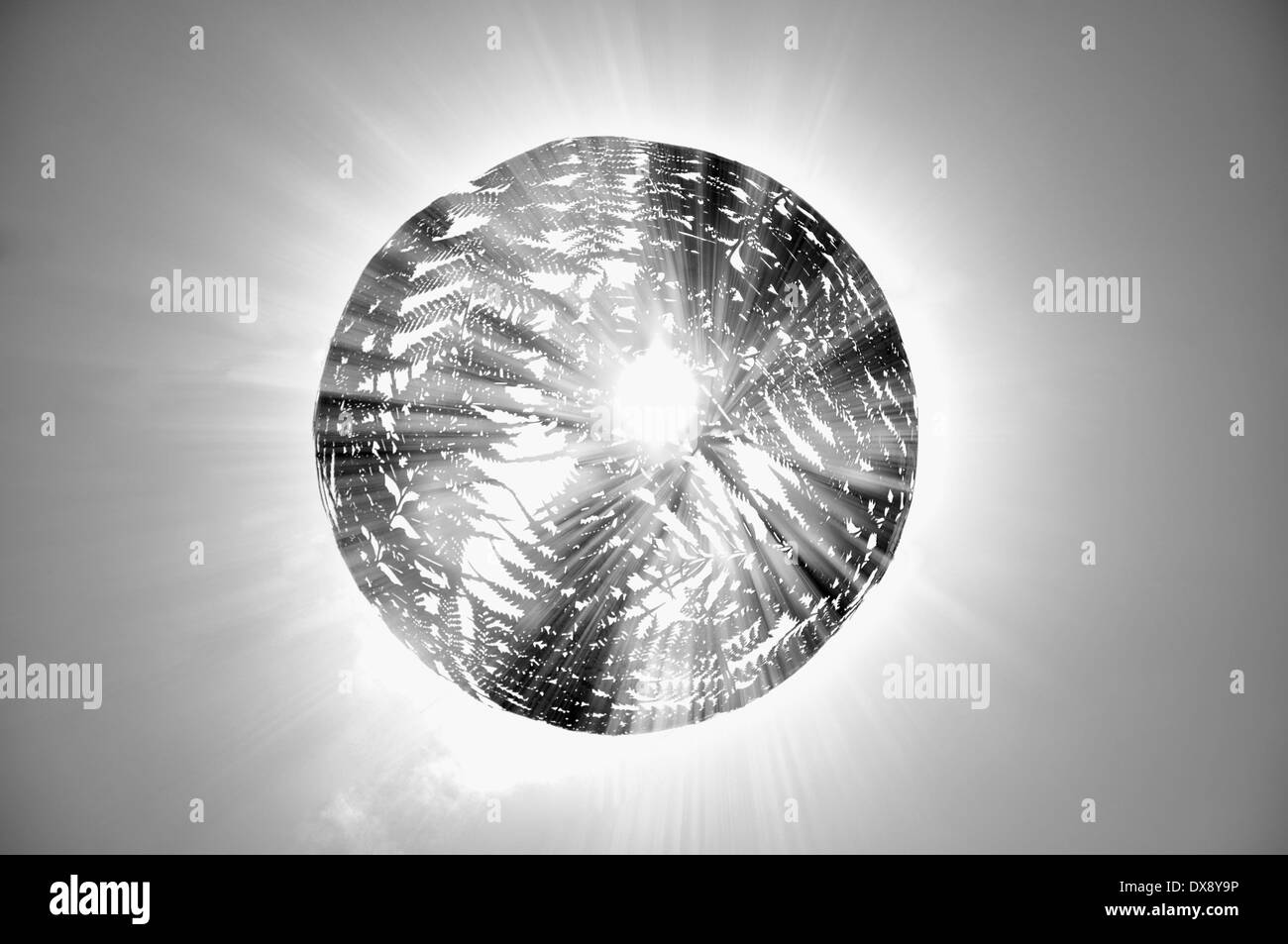 sun light through the Wellington Orb Stock Photo - Alamy