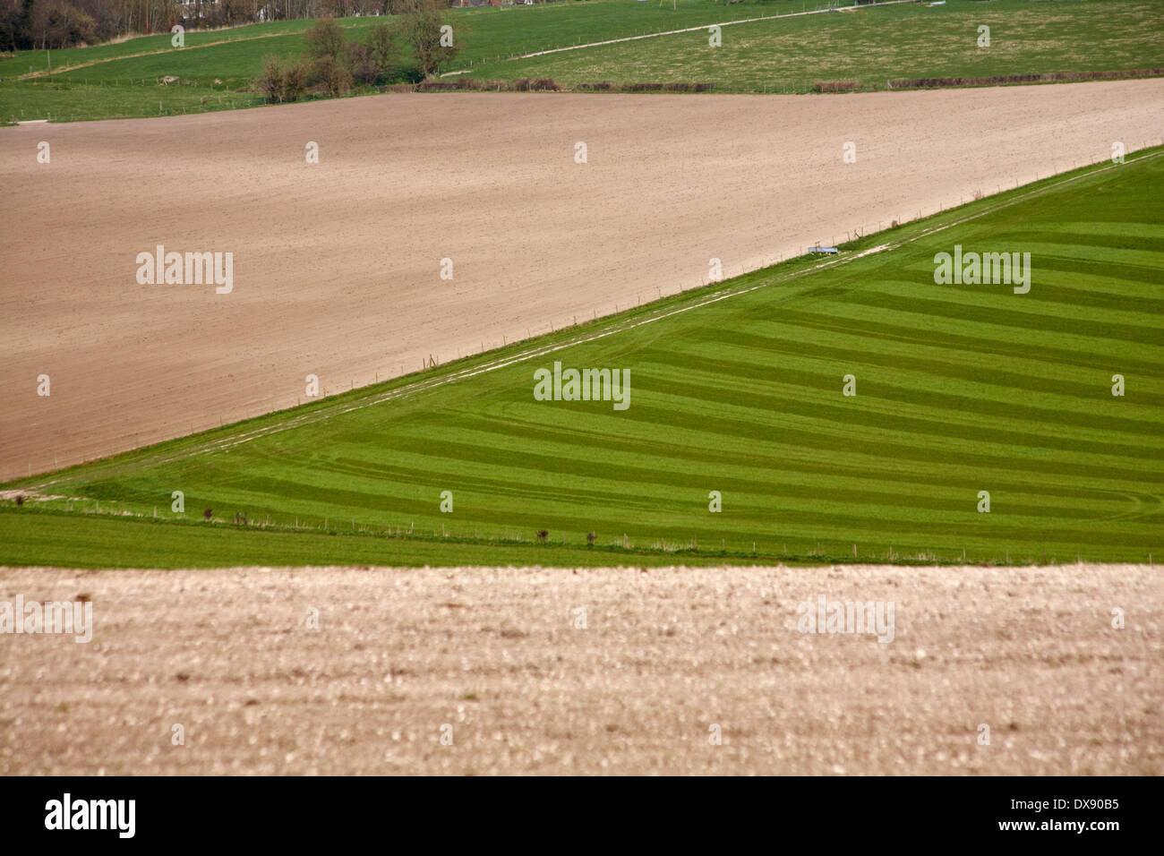 patterns in fields at Dorset in March Stock Photo - Alamy
