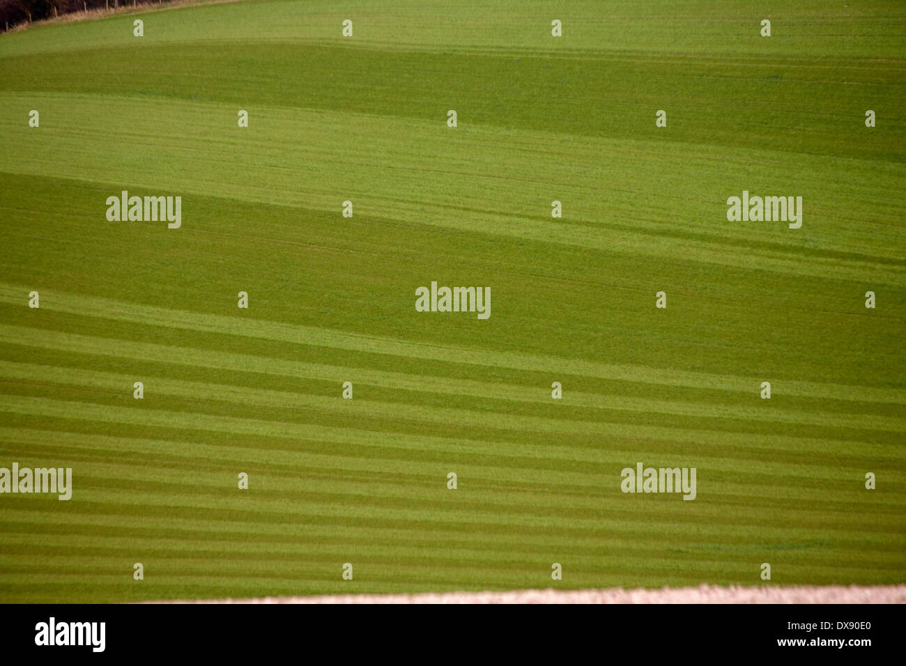 Grass patterns hi-res stock photography and images - Alamy