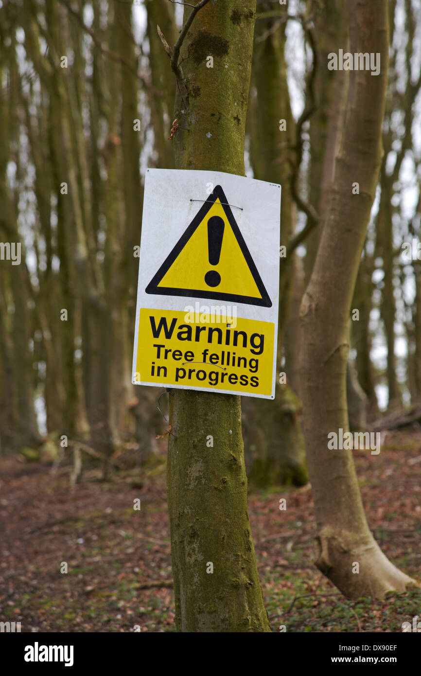 warning tree felling in progress sign on trees near Win Green on the ...