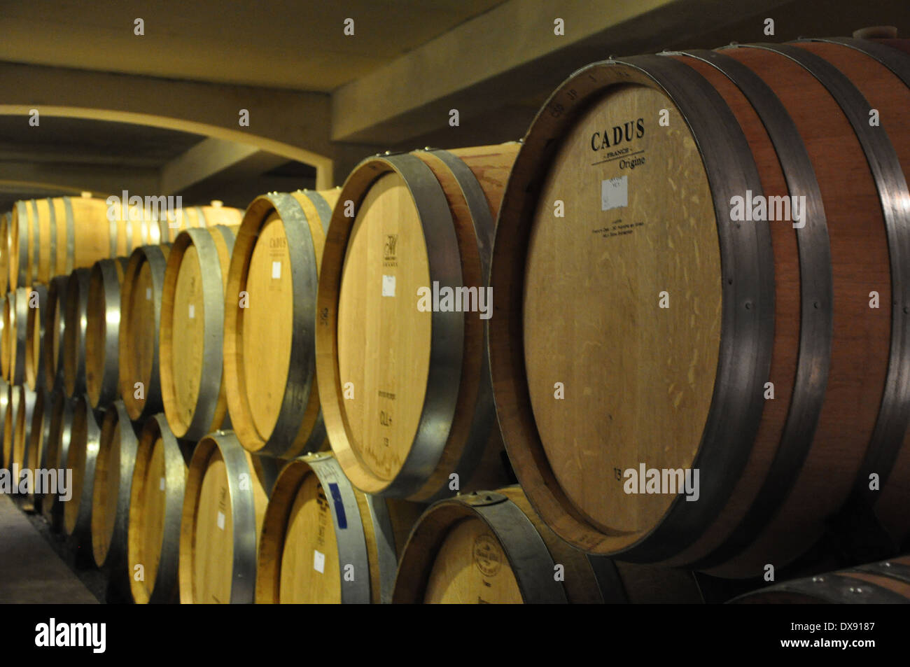 Cellar wine storage hi-res stock photography and images - Alamy