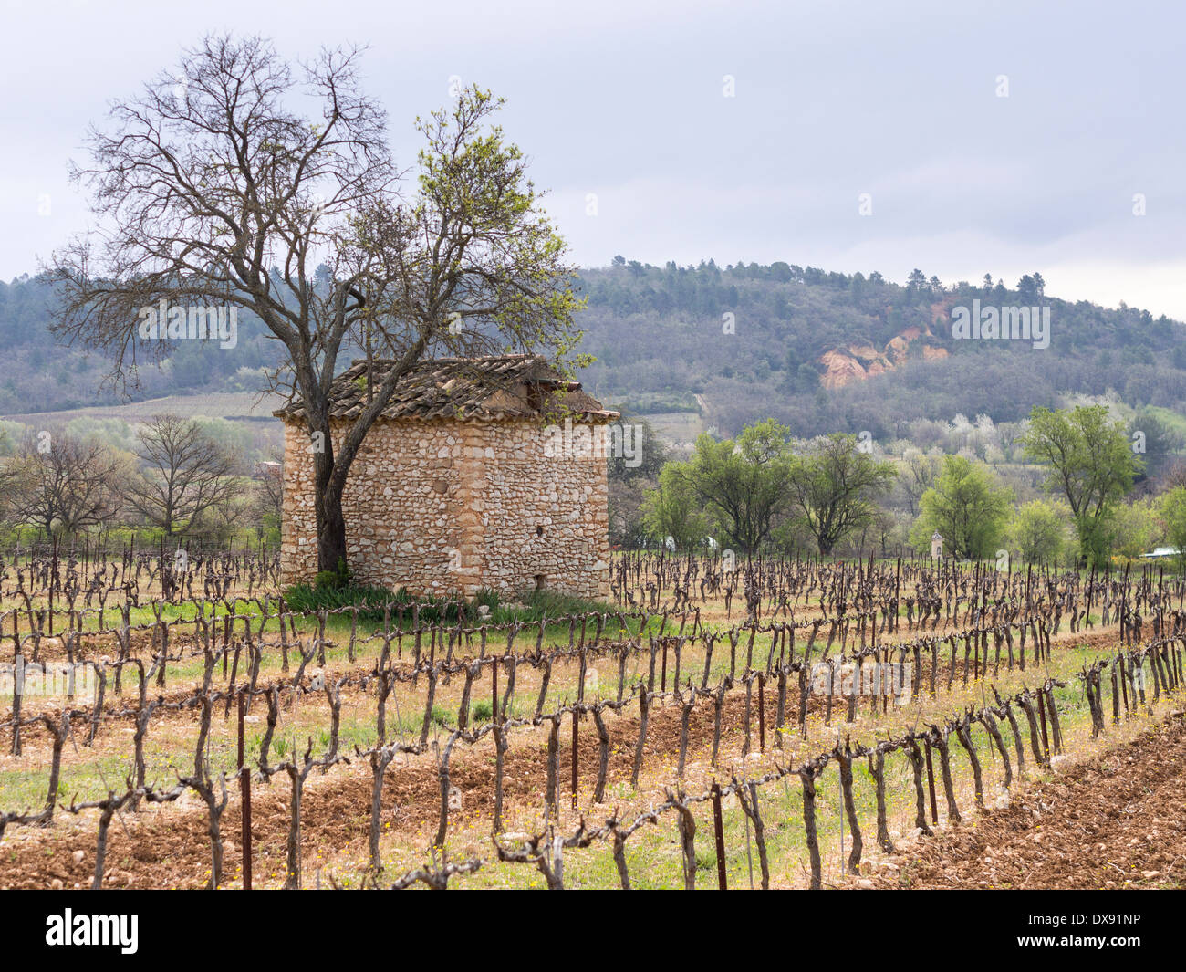 Building with vines hi-res stock photography and images - Alamy