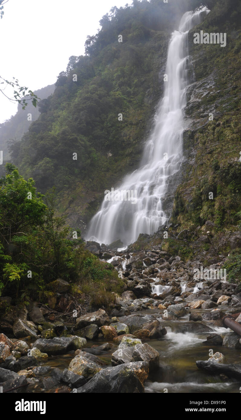 Helena falls new zealand hi-res stock photography and images - Alamy