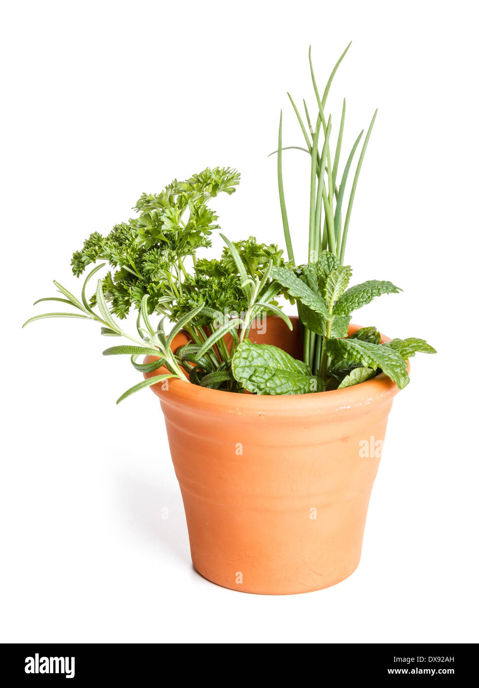 Fresh different herbs in clay pot Stock Photo - Alamy