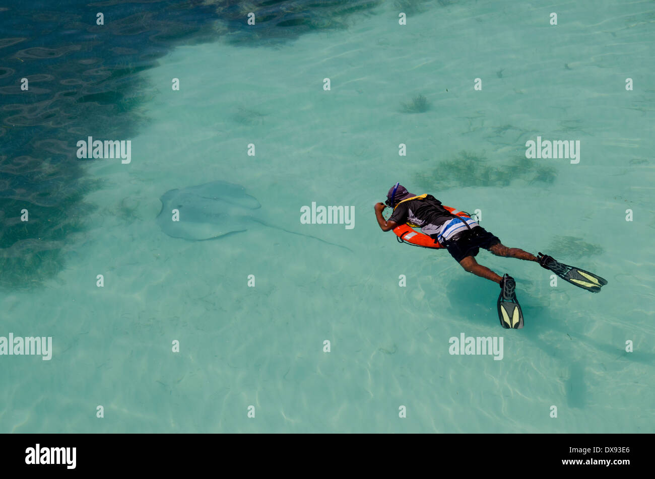 Belize, Caribbean Sea, District of Toledo, The Cayes. West Snake Caye ...