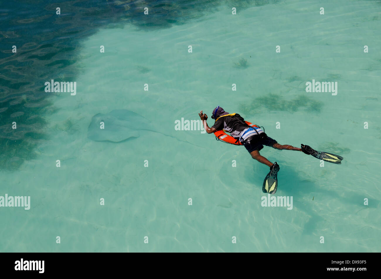 Belize, Caribbean Sea, District of Toledo, The Cayes. West Snake Caye ...