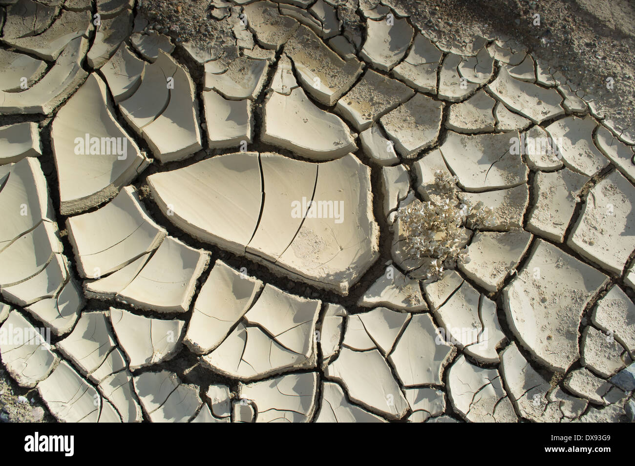 Hot dry august hi-res stock photography and images - Alamy