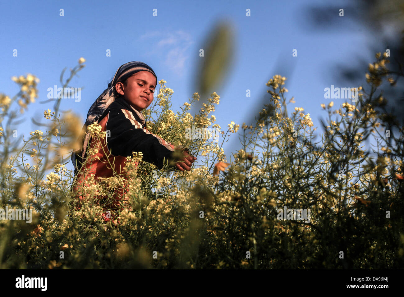Gaza, Palestinian Territories. 20th Mar, 2014. Palestinian children ...