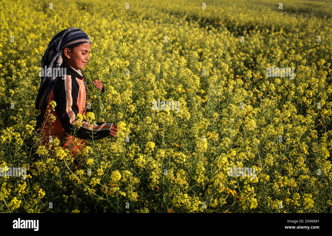 Gaza, Palestinian Territories. 20th Mar, 2014. Palestinian children ...