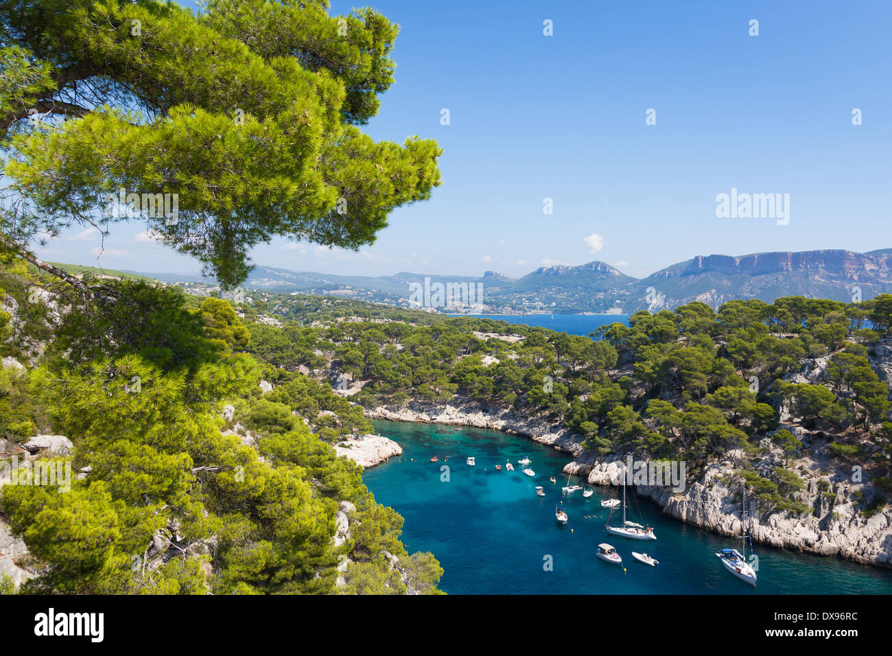 Calanque port pin in provence hi-res stock photography and images - Alamy