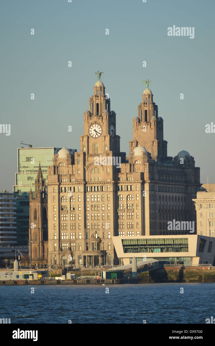 Royal Liver Building, Liverpool Stock Photo - Alamy