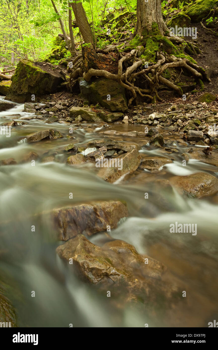 Tiffany Creek running over rocks during a relatively dry spring in ...
