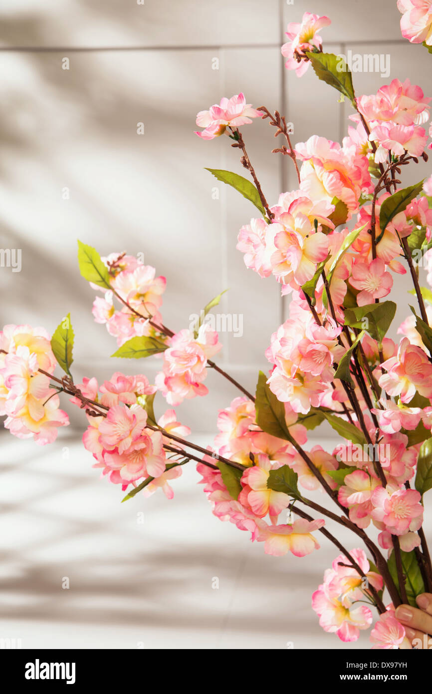 Sweet-smelling spring plants in the kitchen Stock Photo - Alamy