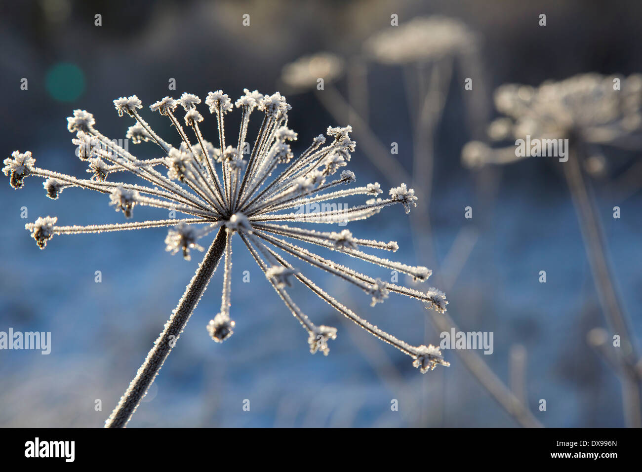 Cold and sunny weather hi-res stock photography and images - Alamy