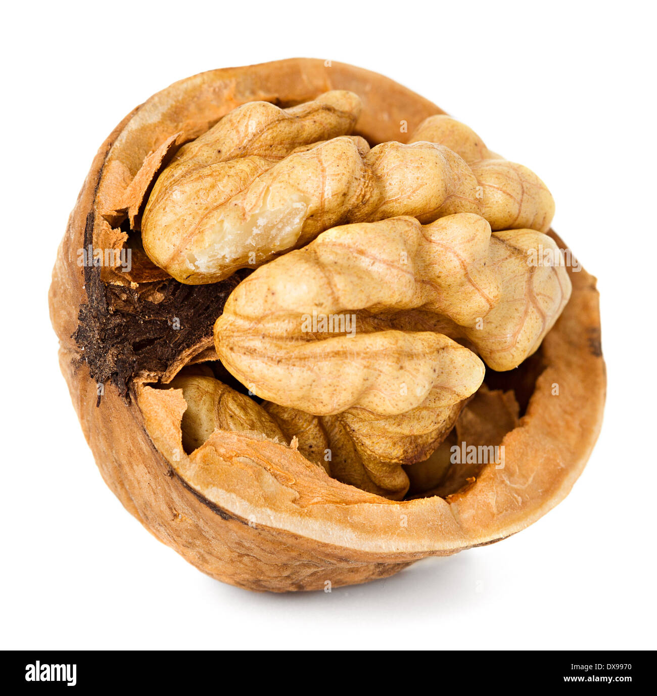 walnut half isolated on the white background Stock Photo - Alamy