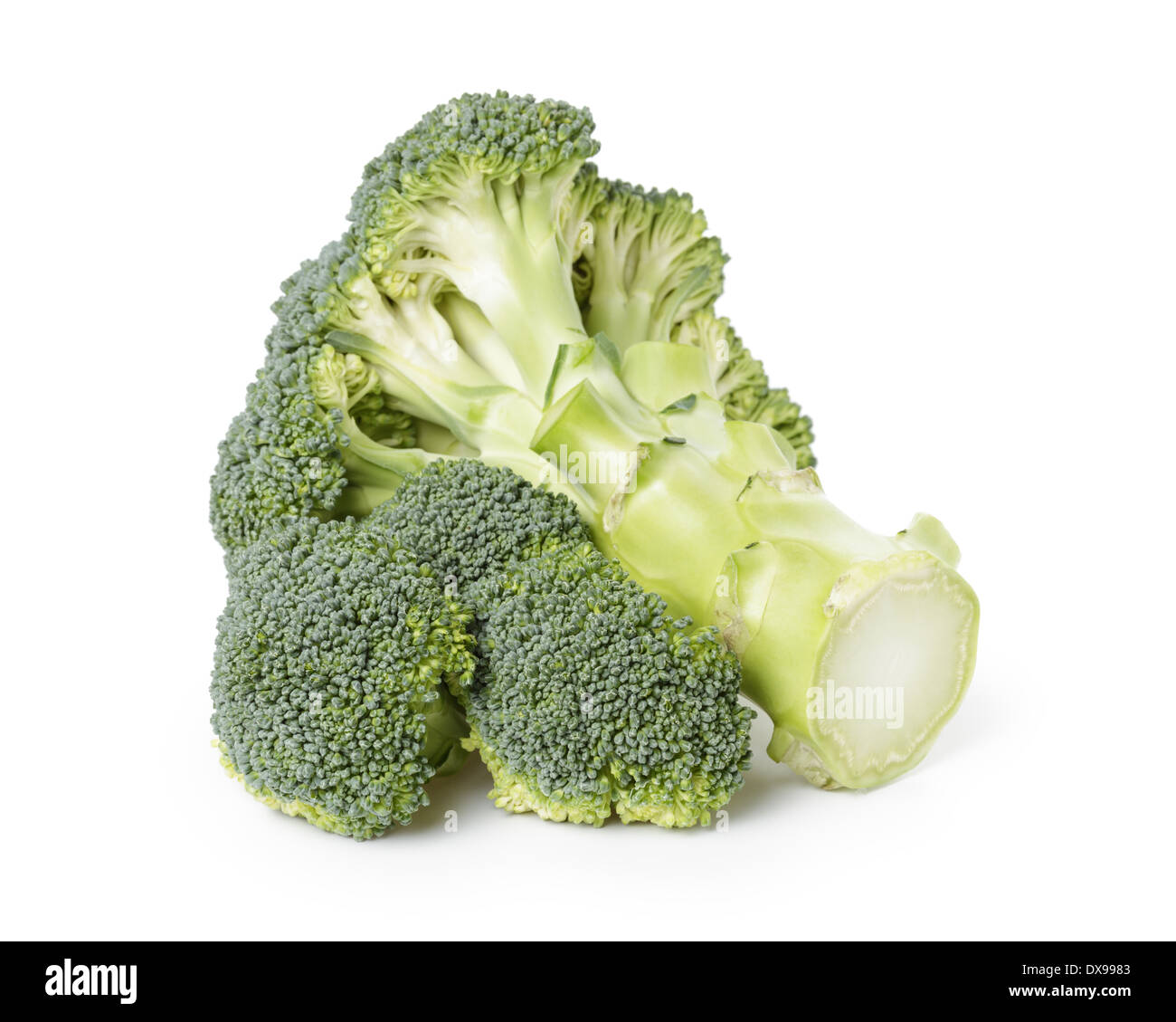 fresh broccoli cabbage, isolated on white background Stock Photo - Alamy