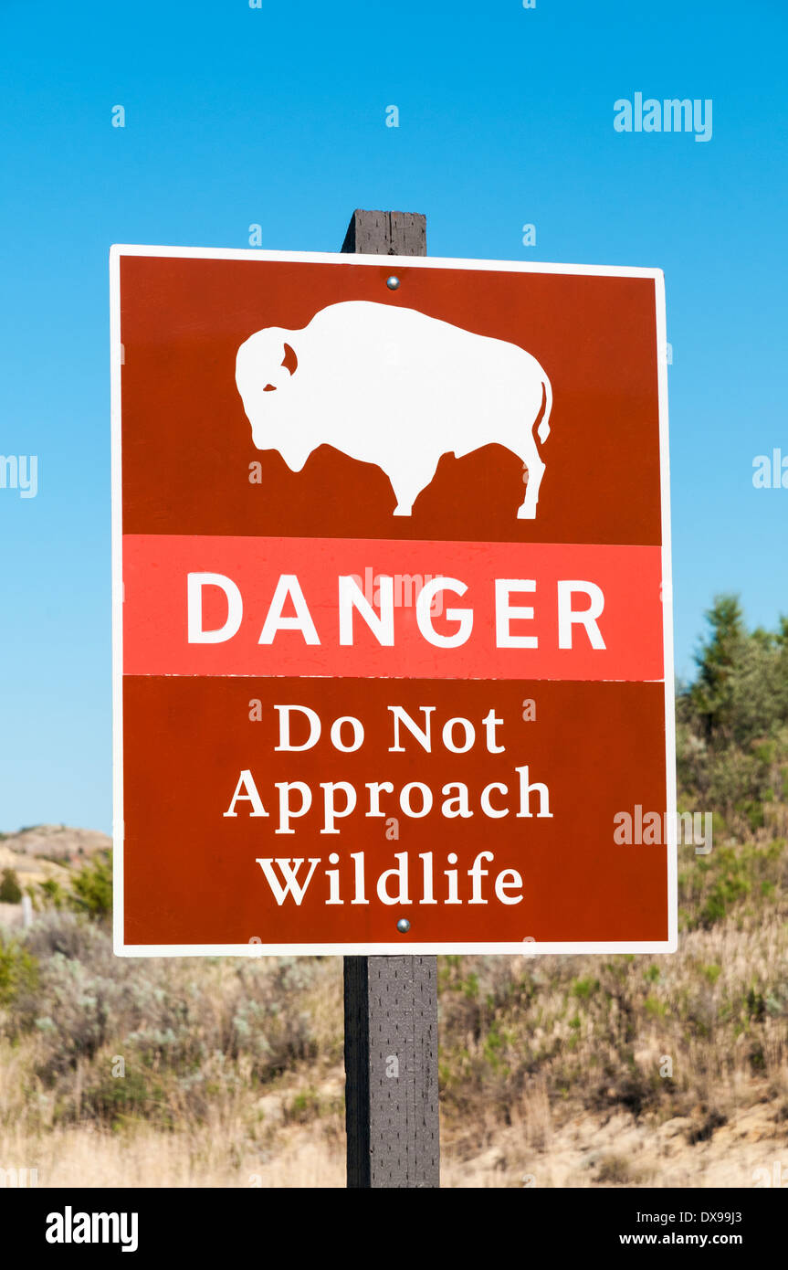 North Dakota, Theodore Roosevelt National Park, South Unit, bison ...