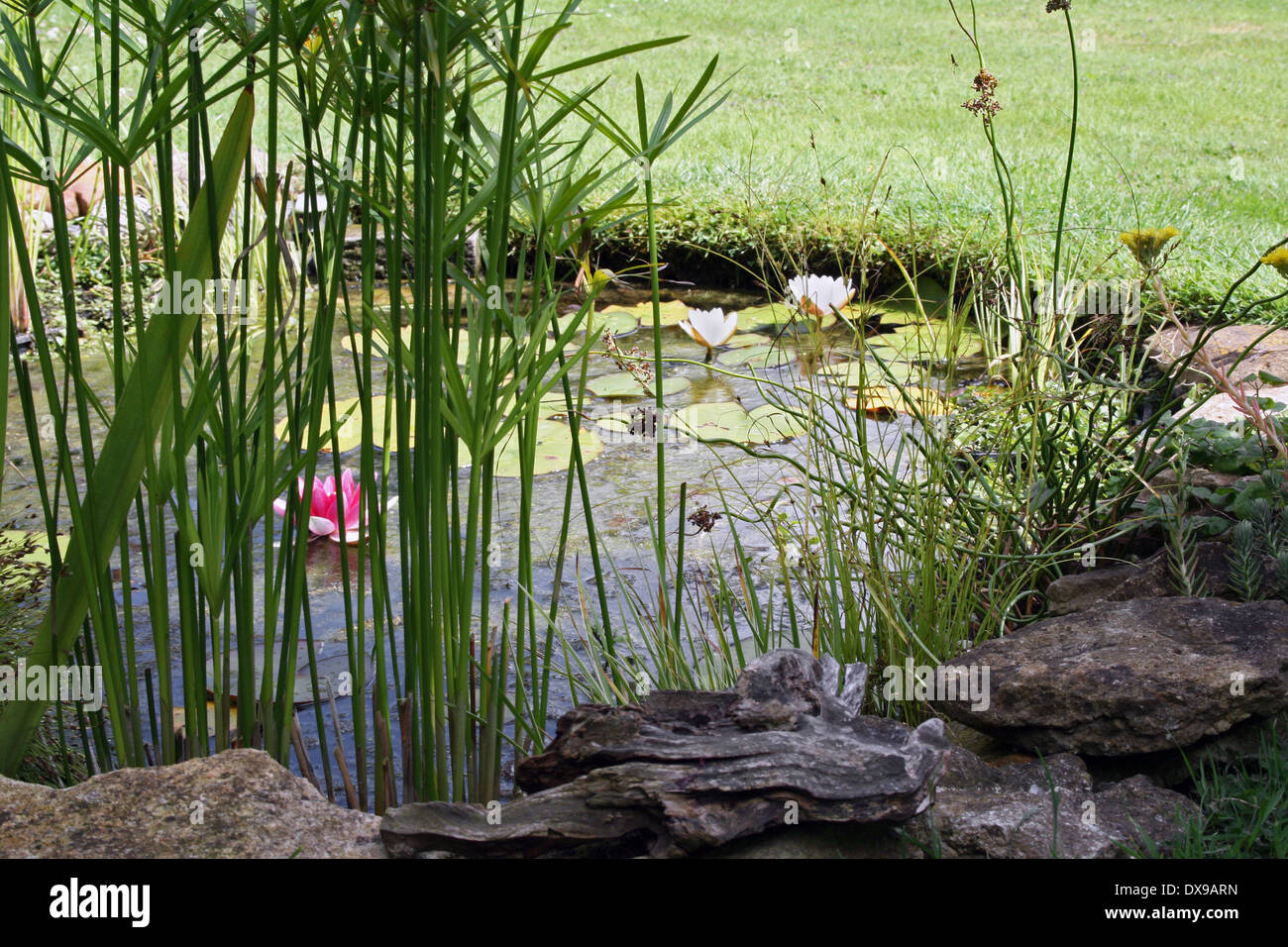 Log in shade garden hi-res stock photography and images - Alamy