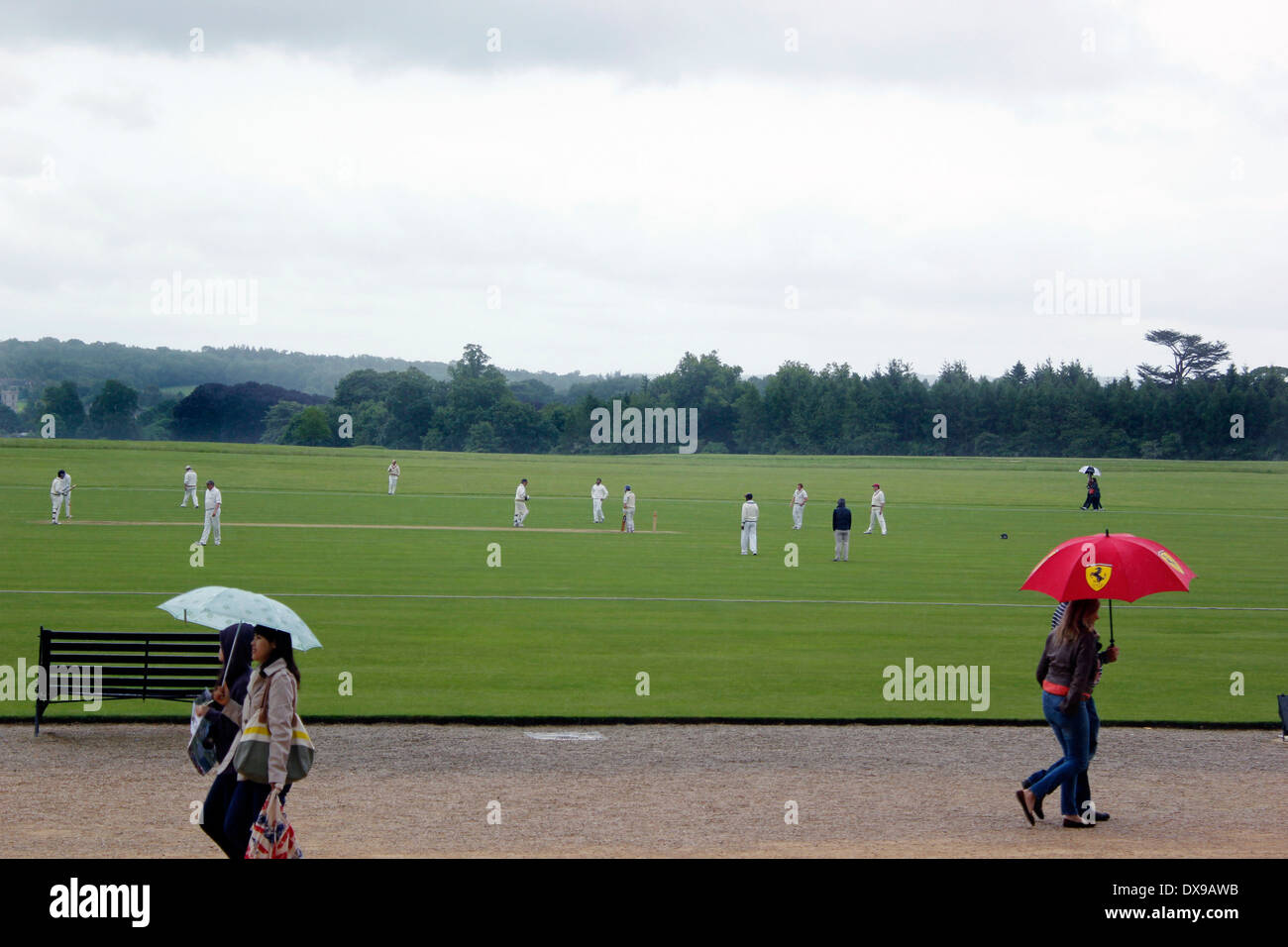 Cricket pitch rain hi-res stock photography and images - Alamy